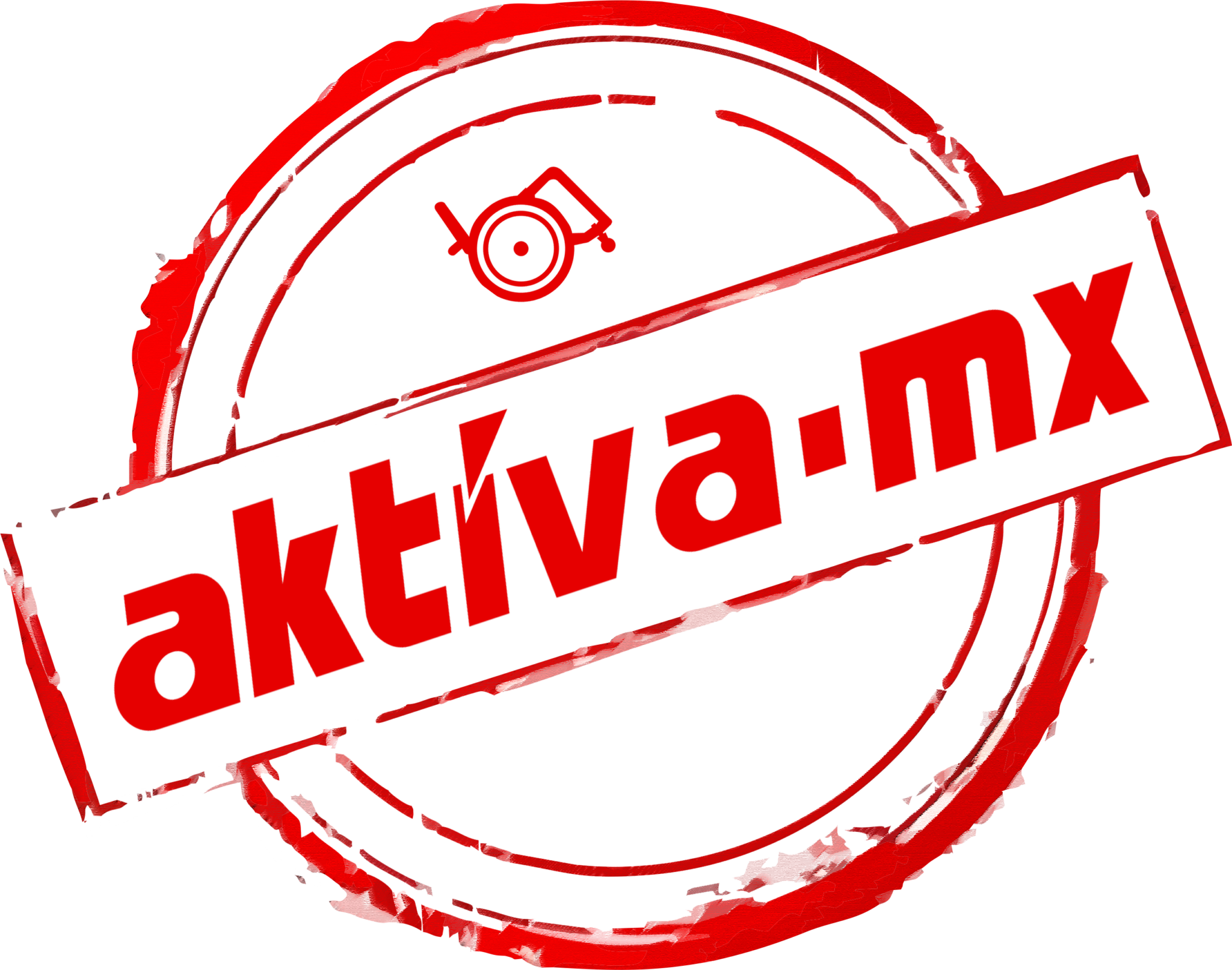 Conoce nuestros productos y servicios de sillas de ruedas AKTIVA MX